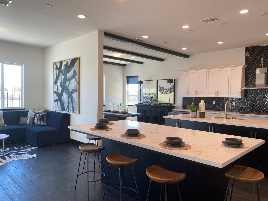 Grand Opening of Model Homes at New River Islands Community